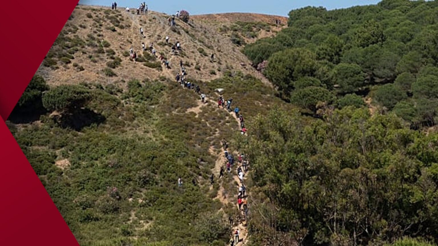 Rare Bird Species Thrives In Morocco After Succesful Breeding Program ...